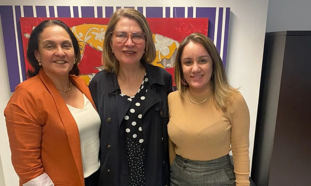 Iracy Baltar visita secretarias e começa a se movimentar para voltar à ...