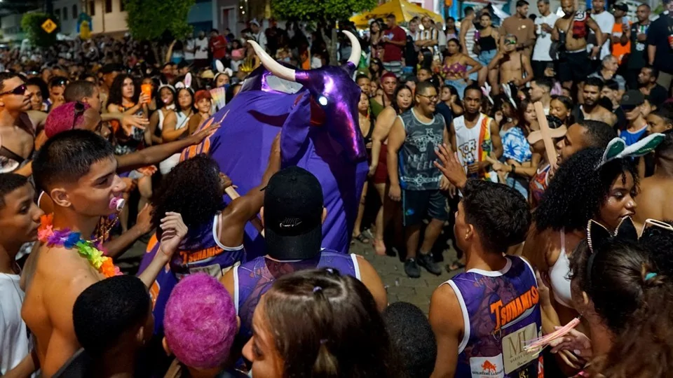Carnaval Folclórico do Boi Pintadinho, em Muqui, terá 5 dias de folia ...