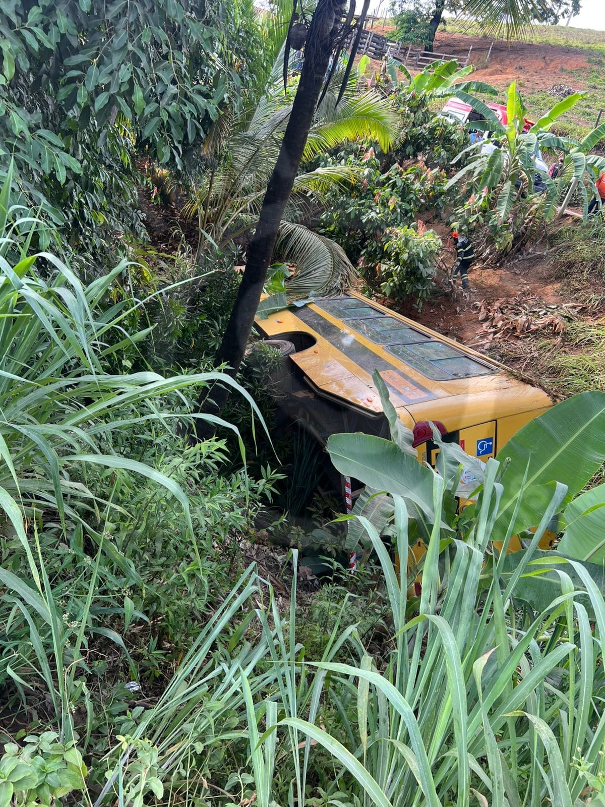 Ônibus escolar com estudantes tomba em São Roque do Canaã - ES HOJE