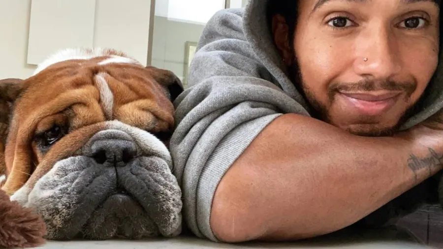 'Amigo verdadeiro', lamenta Lewis Hamilton após morte de Roscoe, seu ...