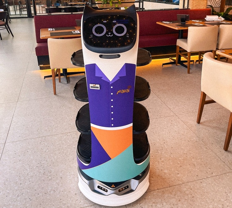Robô-garçom na Serra atrai clientes e moderniza atendimento em ...